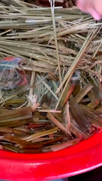 R ngâm đòng đòng lúa nếp lá dứa - can 5L - 30 độ, ngâm 6 tháng, màu ...