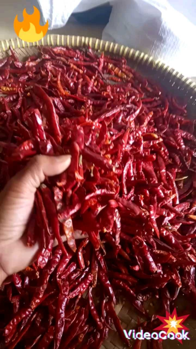 CABE RAWIT KERING TEJA JAPLAK 1Kg (A) | Lazada Indonesia