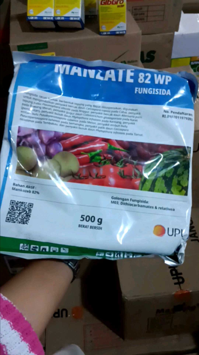 FUNGISIDA MANZATE 1KG OBAT JAMUR AMPUH | Lazada Indonesia