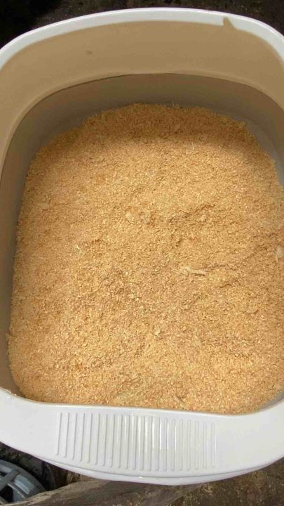 Organic cat litter sand 1kg (Kusot pino|Sawdust) | Lazada PH