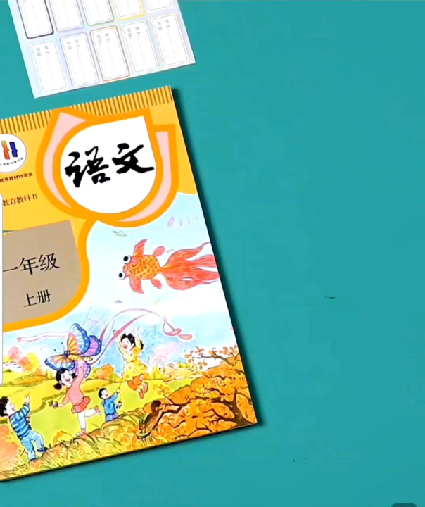 New High-Quality A4 Size Book Cover Templates - 300mm x 430mm, 250mm x ...