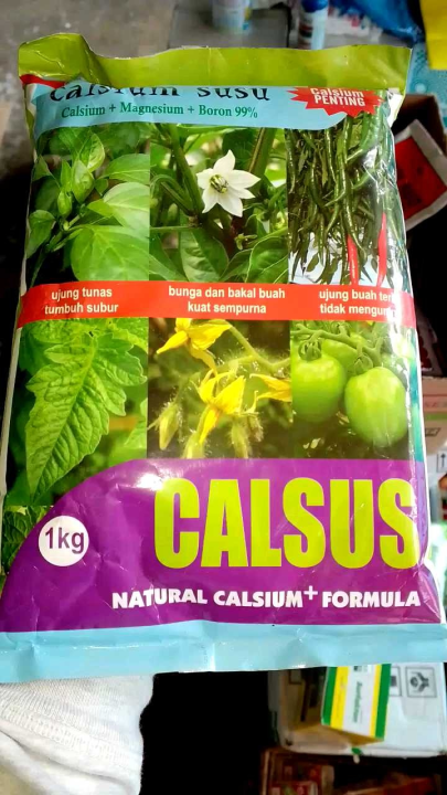 CALSUS 1KG calsium magnesium boron | Lazada Indonesia