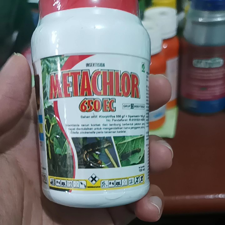 Metachlor 650EC | insektisida racun hama untuk tanaman | original ...