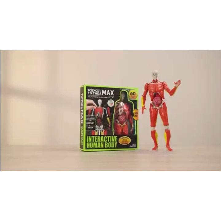 พร้อมส่ง Be Amazing! Toys Interactive Human Body, 60 Piece Fully ...