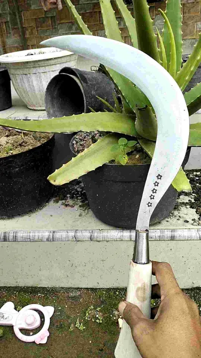 arit rumput Madura ,asli buatan pande tradisional Madura disepuh ...
