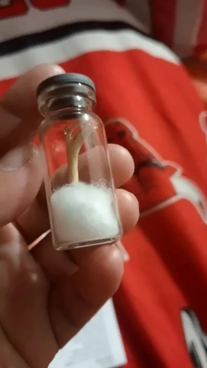 tagupaypay sa bote pampaswerte | Lazada PH