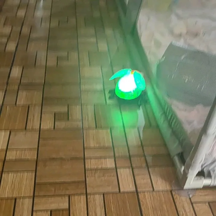 Lady Bug Walking Toys for Kids with Music Beetle Light Up Color ...