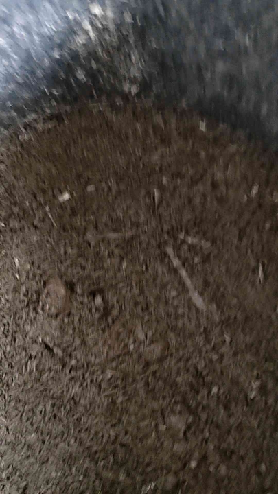 Pure Vermicast BAJA CACING蚯蚓粪肥料Worm Castings / Worm Poops) *Pure Worm ...