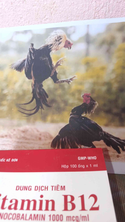 HYPER B12 BITAMINA FOR GAMEFOWL AND ANIMALS | Lazada PH