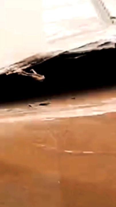 PUPUK NPK TABLET SUBURIN ECERAN 1 KG | Lazada Indonesia