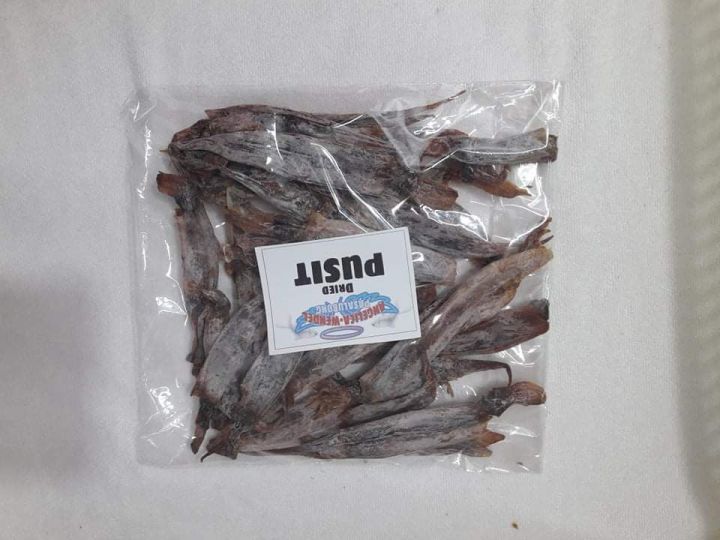 DRIED UNSALTED PUSIT 60grams (ballpen) | Lazada PH