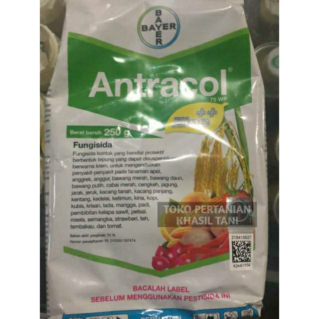 Fungisida ANTRACOL 70WP plus zinc 250 gr - Bayer | Lazada Indonesia