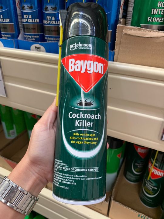 Baygon Cockroach Killer Aerosol 500ml | Lazada PH