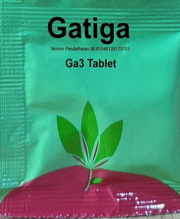 Pupuk GATIGA Ga3 isi 10 tablet | Lazada Indonesia