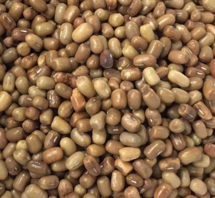 Moth dal / moth Beans 500g ( Golden Dal ) | Lazada.co.th