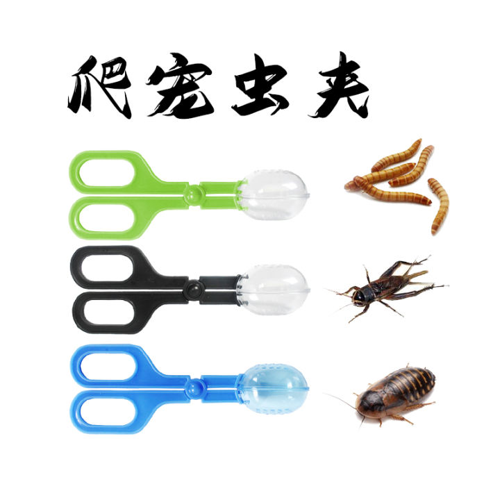 Crawler Feeding Clip Insect Clip Climbing Pet Guard Palace Mane Lizard ...