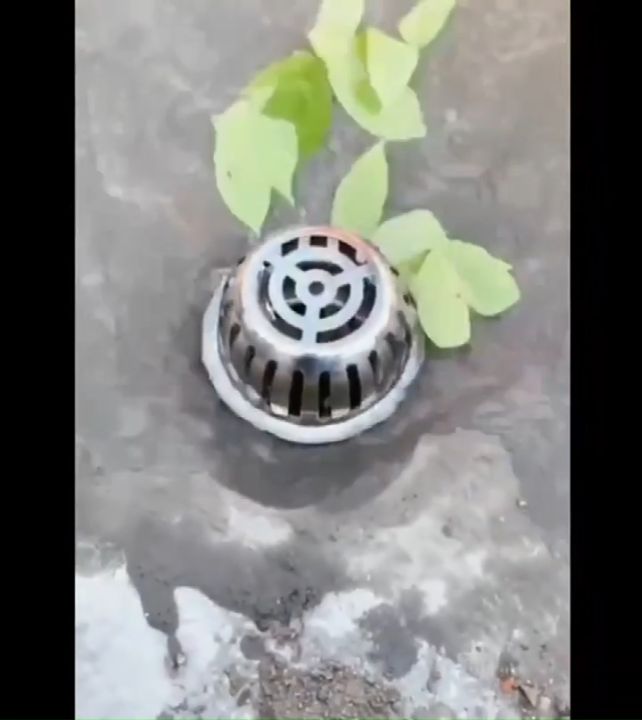 304 stainless steel floor drain strainer anti-rodent outdoor inserted ...