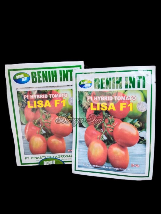 TOMAT LISA F1 TAHAN VIRUS ISI 10GR | Lazada Indonesia