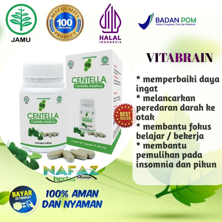 VITABRAIN centella asiatica obat herbal otak original | Lazada Indonesia