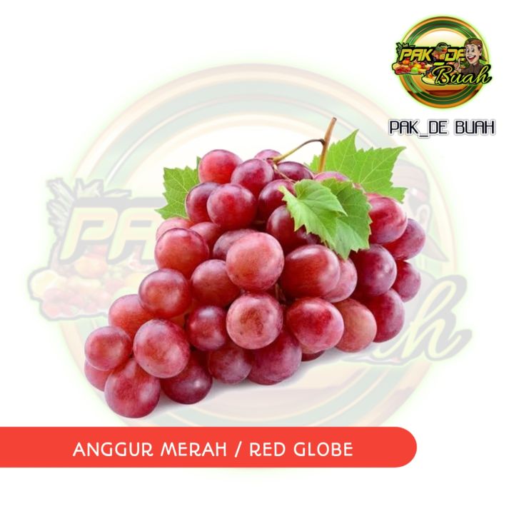 BUAH ANGGUR MERAH /RED GLOBE, BUAH SEGAR, BUAH MANIS | Lazada Indonesia