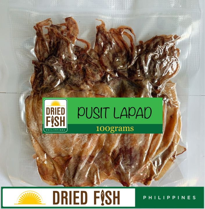 DFP Dried Pusit Lapad/Squid 100g | Lazada PH