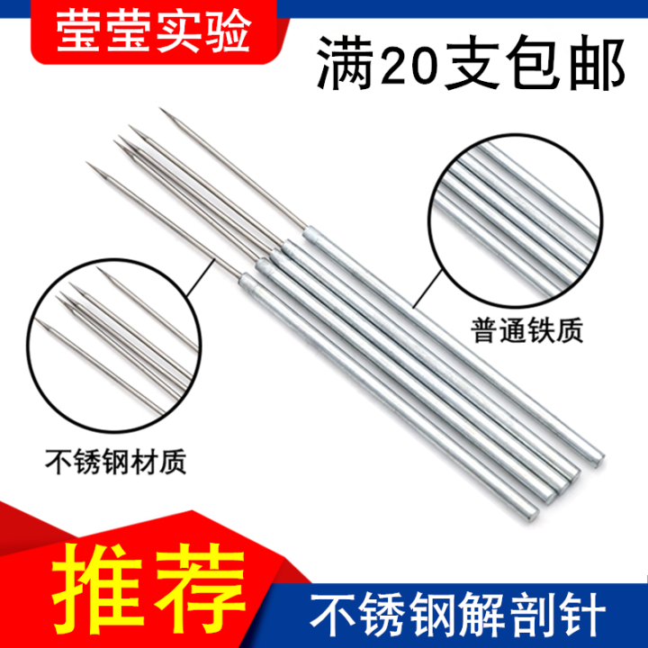 Stainless Steel Dissection Needle for Biological Experiments Curved Tip ...