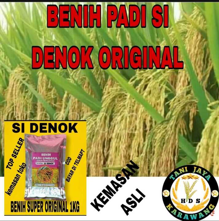 BENIH PADI SI DENOK SUPER 1KG KEMASAN ASLI 100% ORIGINAL | Lazada Indonesia
