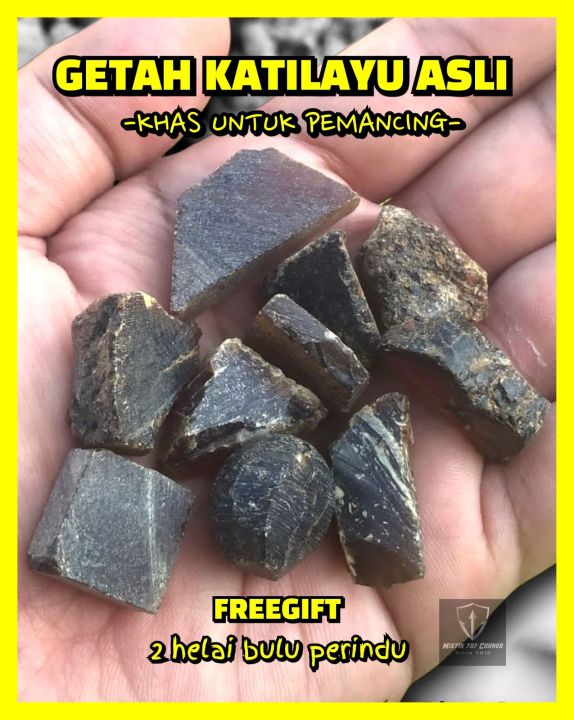 GETAH KATILAYU ASLI UNTUK PEMANCING | Lazada
