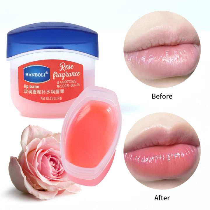 1/4 Pcs Lip Balm Moisturizing Lipstick Makeup Natural Plant Anti ...