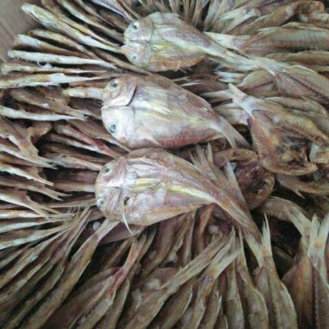 IKAN ASIN KUNIR / IKAN GEREH KUNIR | Lazada Indonesia