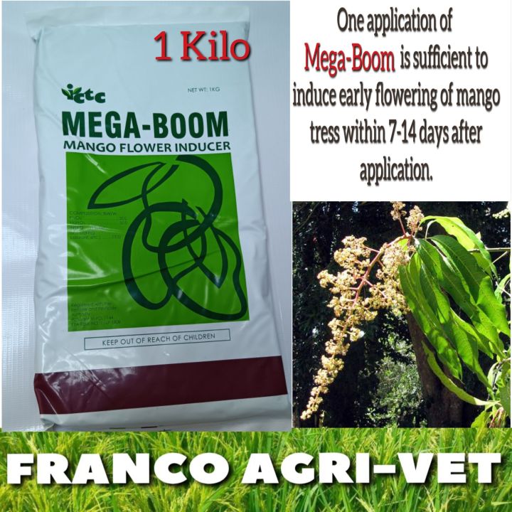 Mega Boom Mango Flower Inducer ( 1 Kilo ) | Lazada PH