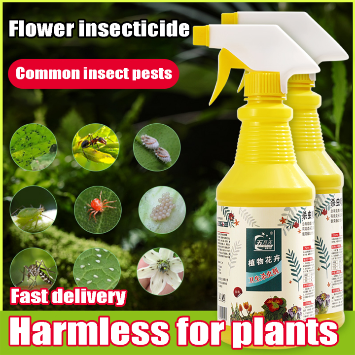 🐛Kill all insects🐛Plant insecticide spray 500ml No harm to plants insecticide and pesticides for ...