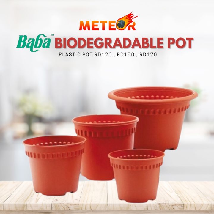 Baba Plastic Pot 3 Size Available Biodegradable Pot | Lazada