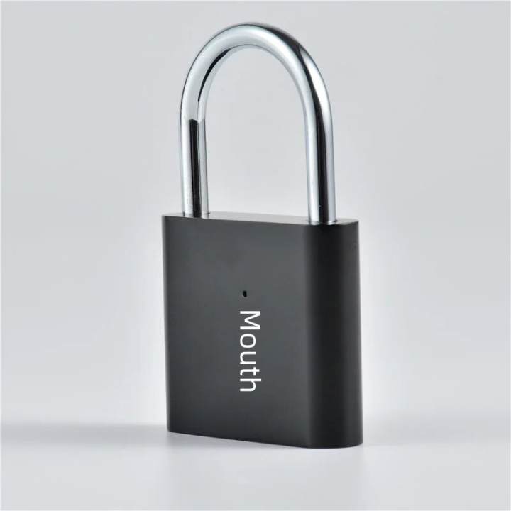 Smart Fingerprint Lock For Cabinet Dormitory Gym Storage Room Small ...