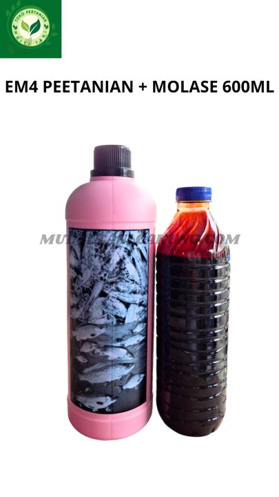 PAKET EM4 PERIKANAN + MOLASE TETES TEBU 600 ML ORIGINAL UNTUK KESEHATAN ...