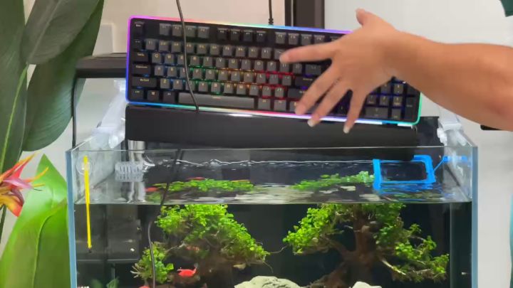 Bàn Phím Cơ Royal Kludge RK 919 Led Switch Quang Học | Lazada.vn