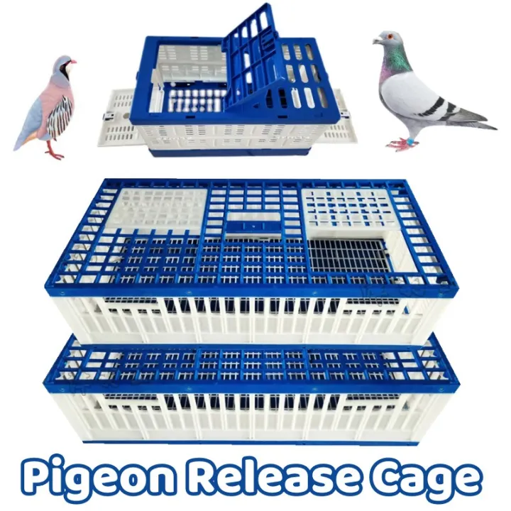 Large Pigeon Release Cage Foldable Transport Cage Pigeon Training ...