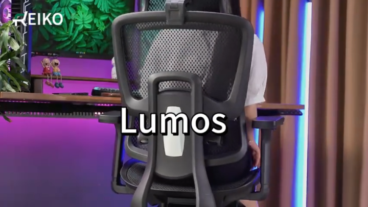 Reiko Lumos Full Mesh Ergonomic Chair Kerusi Gaming Chair Office Chair ...