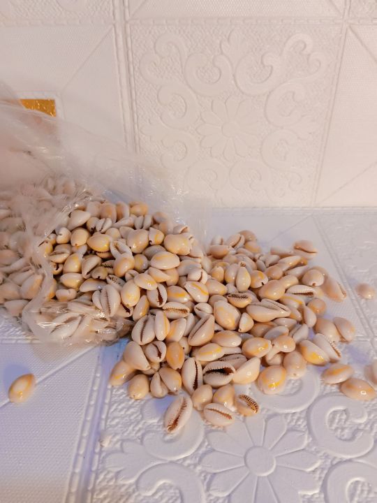 Sigay Shell/Sigay for Sungka 100pcs | Lazada PH