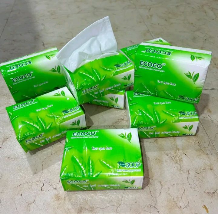 ECOCO FACIAL TISSUES PAPER TOWEL TEA LEAF SUMMER BREEZE | Lazada PH
