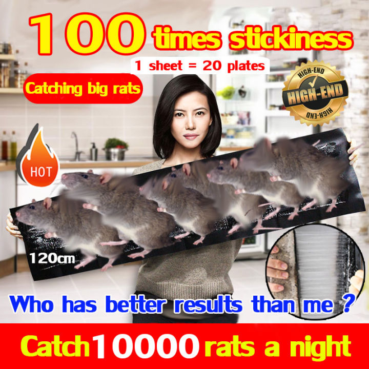 🐀Catcher 10000 rats in 1 night🐀 mouse rat trap100 times viscosity super ...