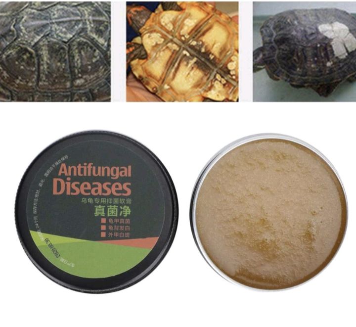 READY STOCK] High Quality Antifungal Turtle Care Shell Cream Remove ...