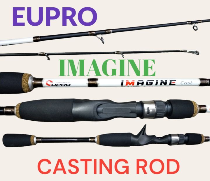 EUPRO IMAGINE SPINNING AND CASTING FISHING ROD ONE PIECE | Lazada