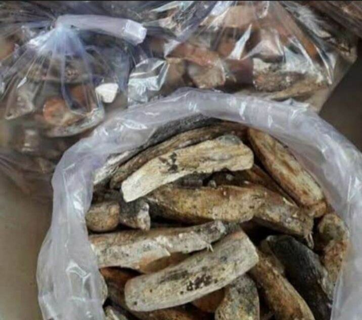 Gatot legit kenyel makanan tradisional/gaplek singkong mentah berat 1 ...