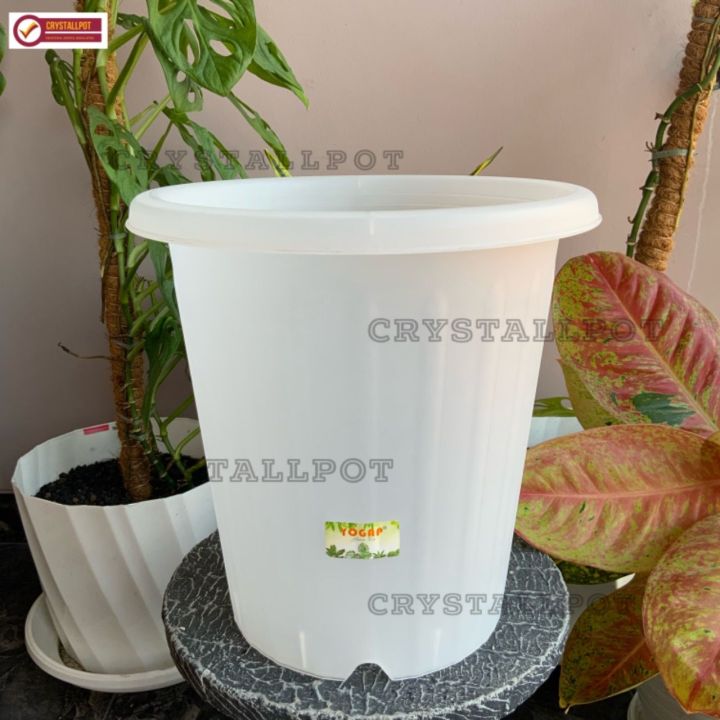 pot bunga tanaman tinggi yogap YPT 30 bening transparan - bahan tebal ...