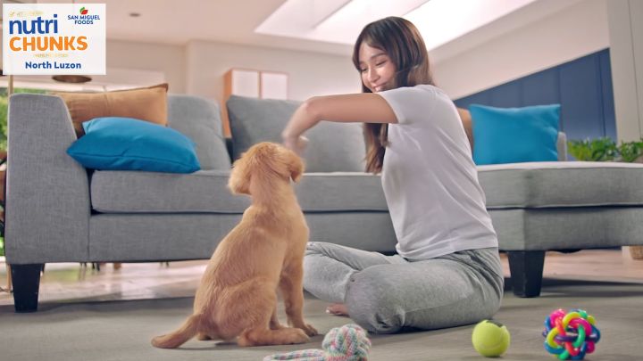 Nutri Chunks Premium Dog Food - Hi Protein Puppy All Breeds - Lamb, Chicken Liver and Milk ...