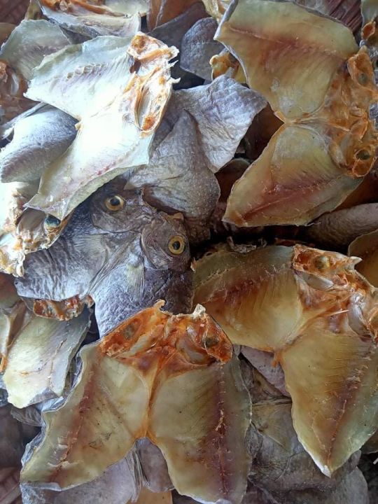 100G PURE BONELESS UNSALTED DANGGIT BITE SIZE FROM MASBATE | Lazada PH