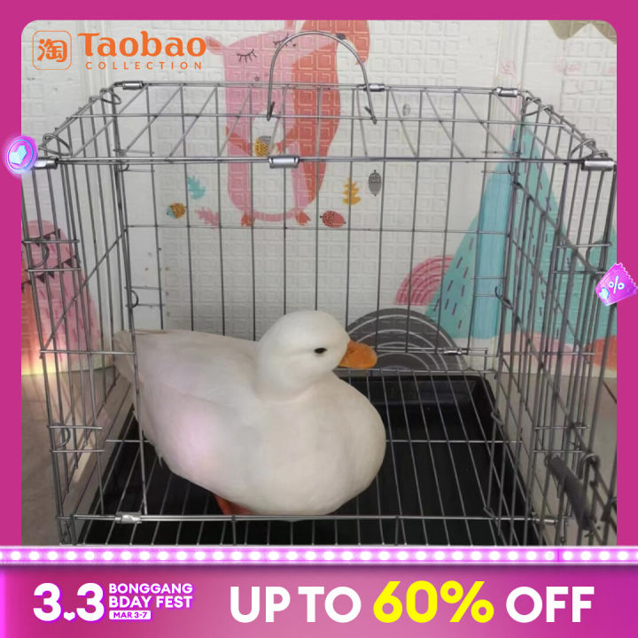 Foldable Wire Cage/Stainless Steel Cage/Chicken Coop Duck Coop Pigeon ...