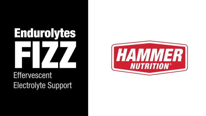 HAMMER NUTRITION - ENDUROLYTES FIZZ® Effervescent Electrolyte ...
