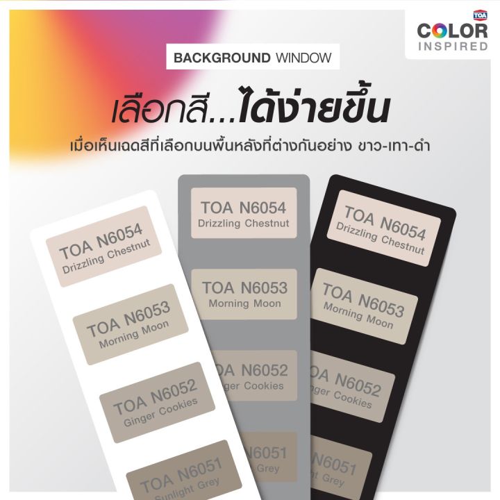 พัดสี TOA COLOR WORLD ชุดพัดสี ทีโอเอ / FANDECK / PANTONE | Lazada.co.th